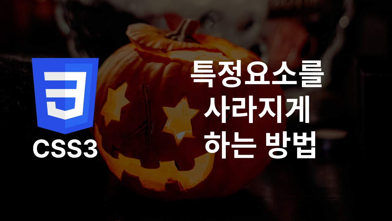 웹사이트에서 특정요소를 안보이게 하는 방법 - 데브로그